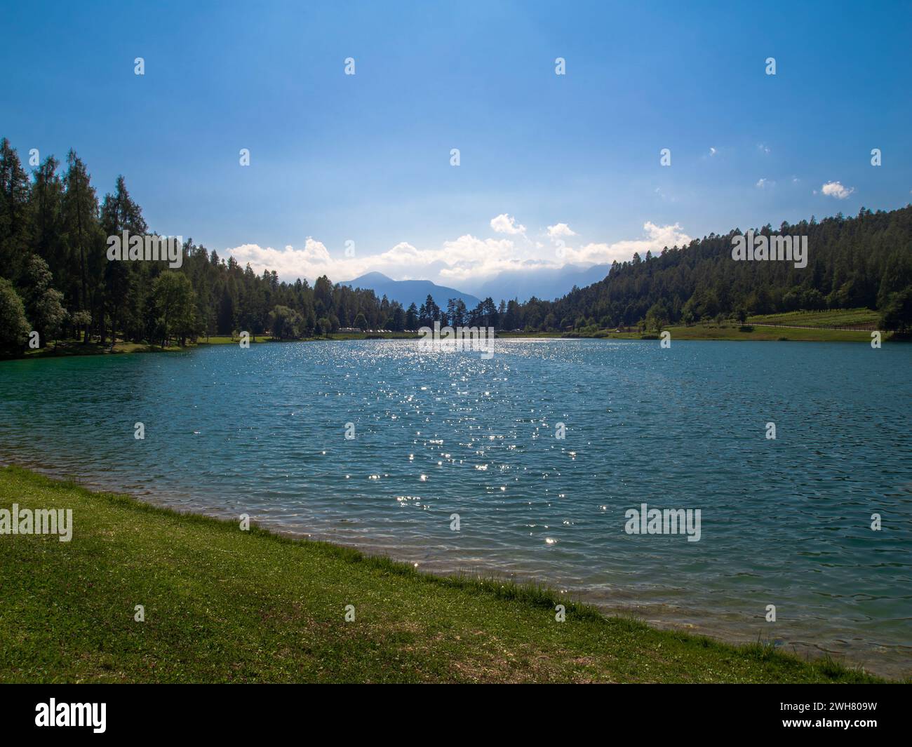 From the green shores of Lake Coredo immersed in the Trentino mountains ...