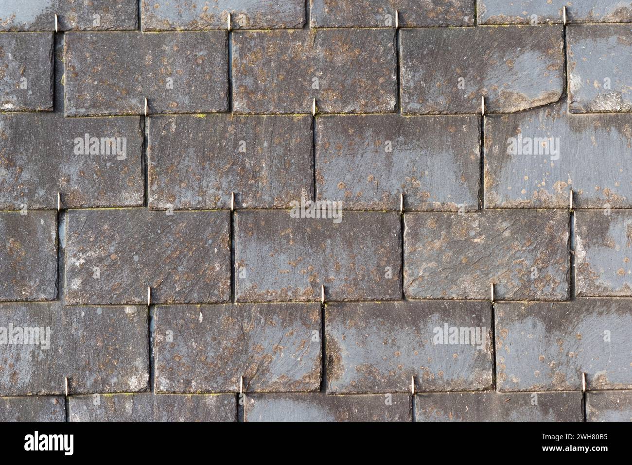 Old neglected slate roof tiles on a tenement house in France Stock ...