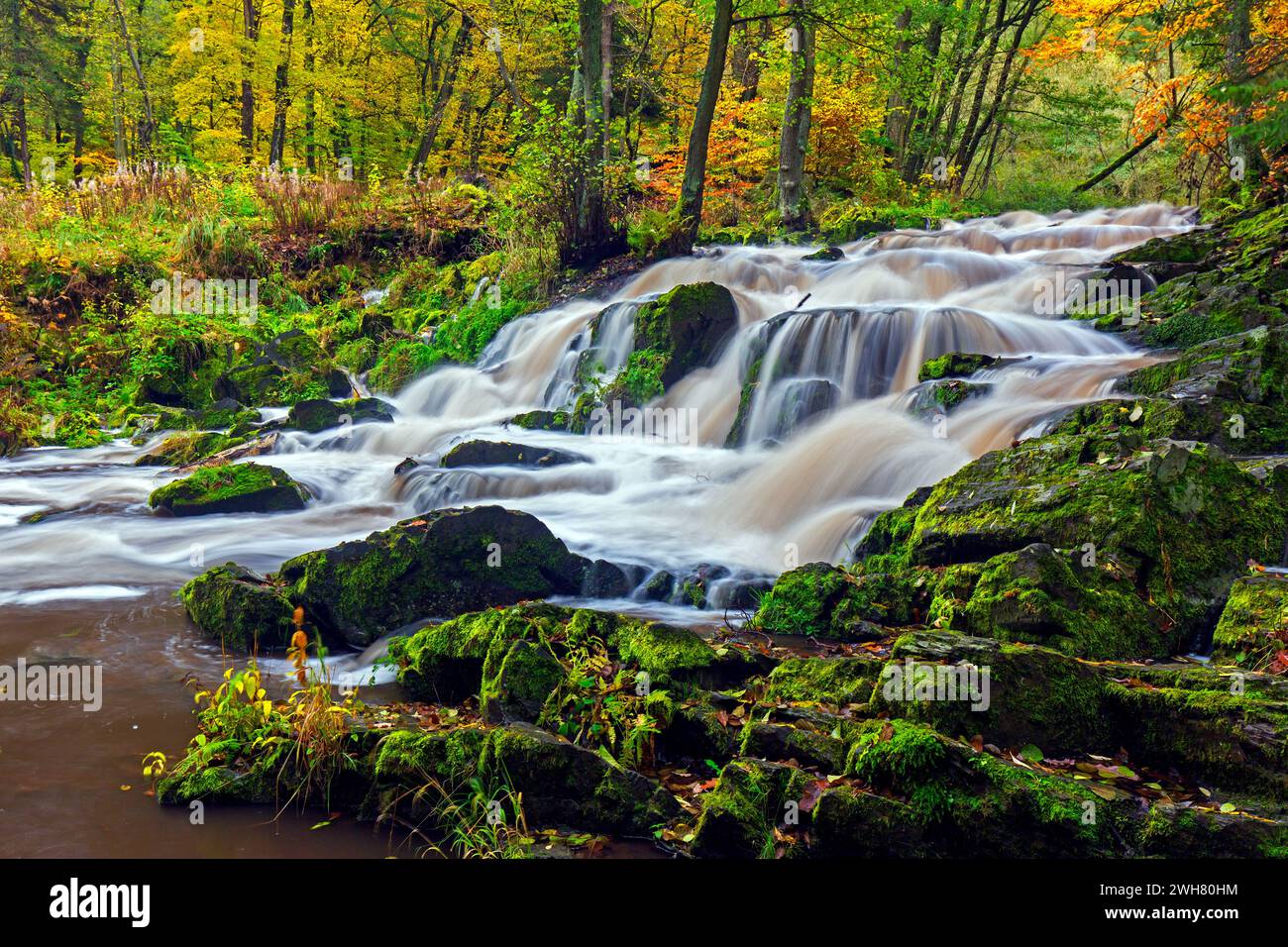 Waterfall near Alexisbad on the Selke river in nature reserve Obere ...