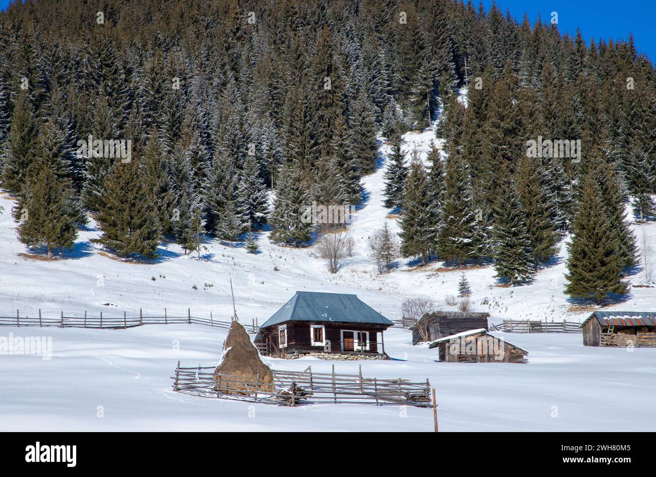A Landscape with an old isolated peasant house in Romania in winter. A ...