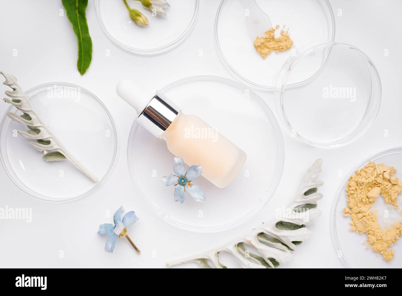 Petri dishes with sample, herbs and bottle of cosmetic product on white ...