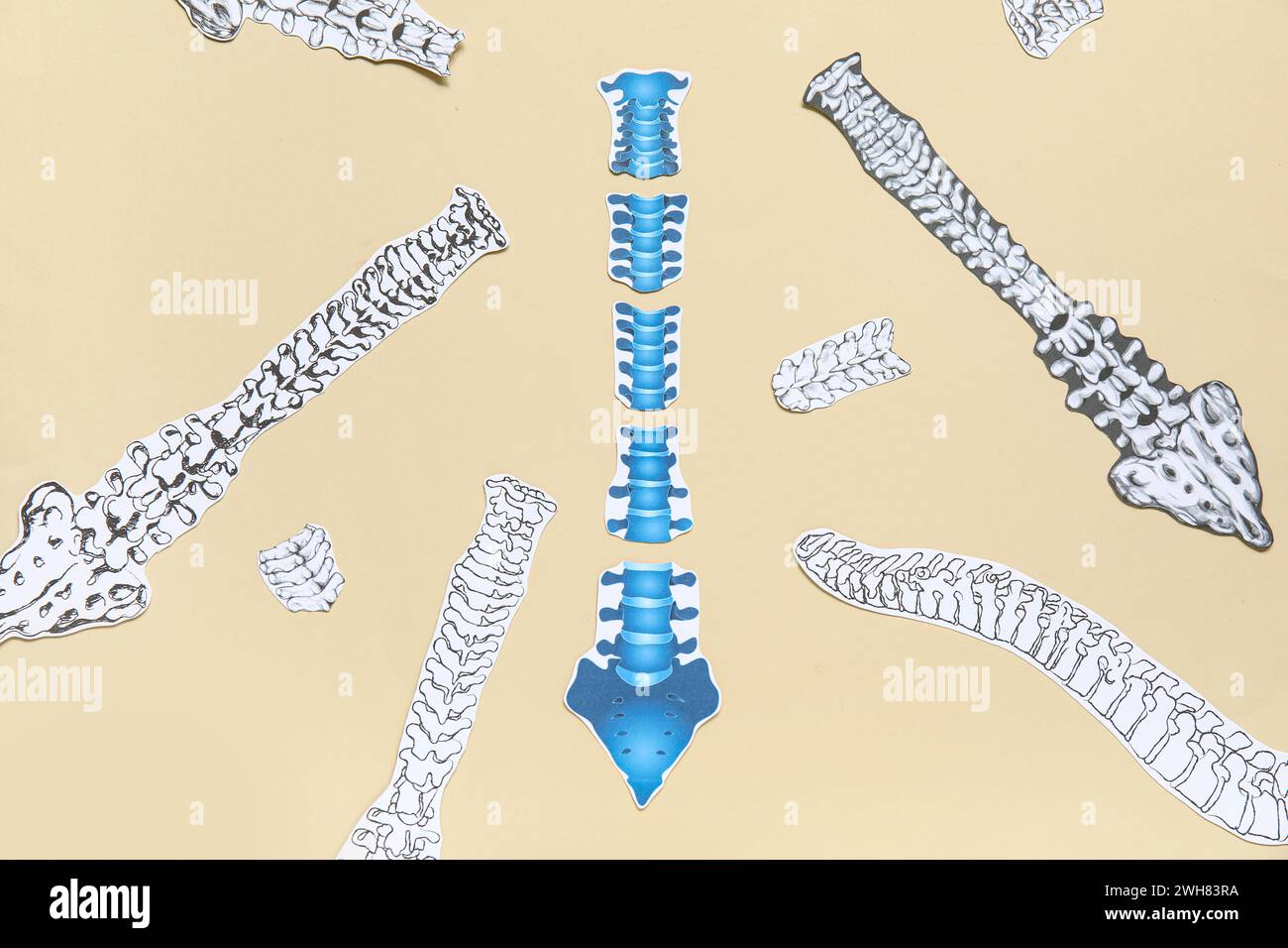 Paper spines on beige background Stock Photo - Alamy