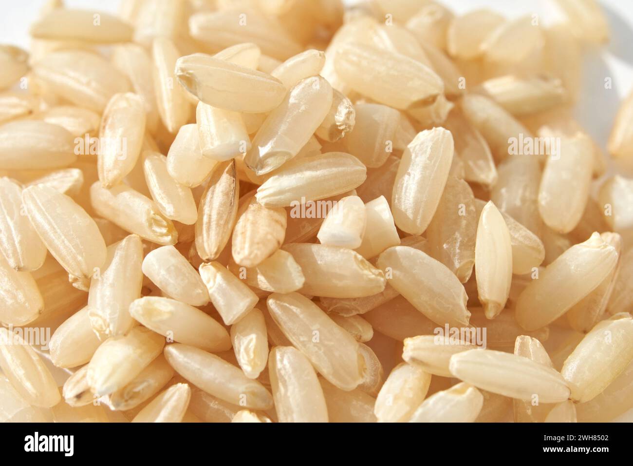 A background of dry brown rice grains showcases the integral, uncooked ...