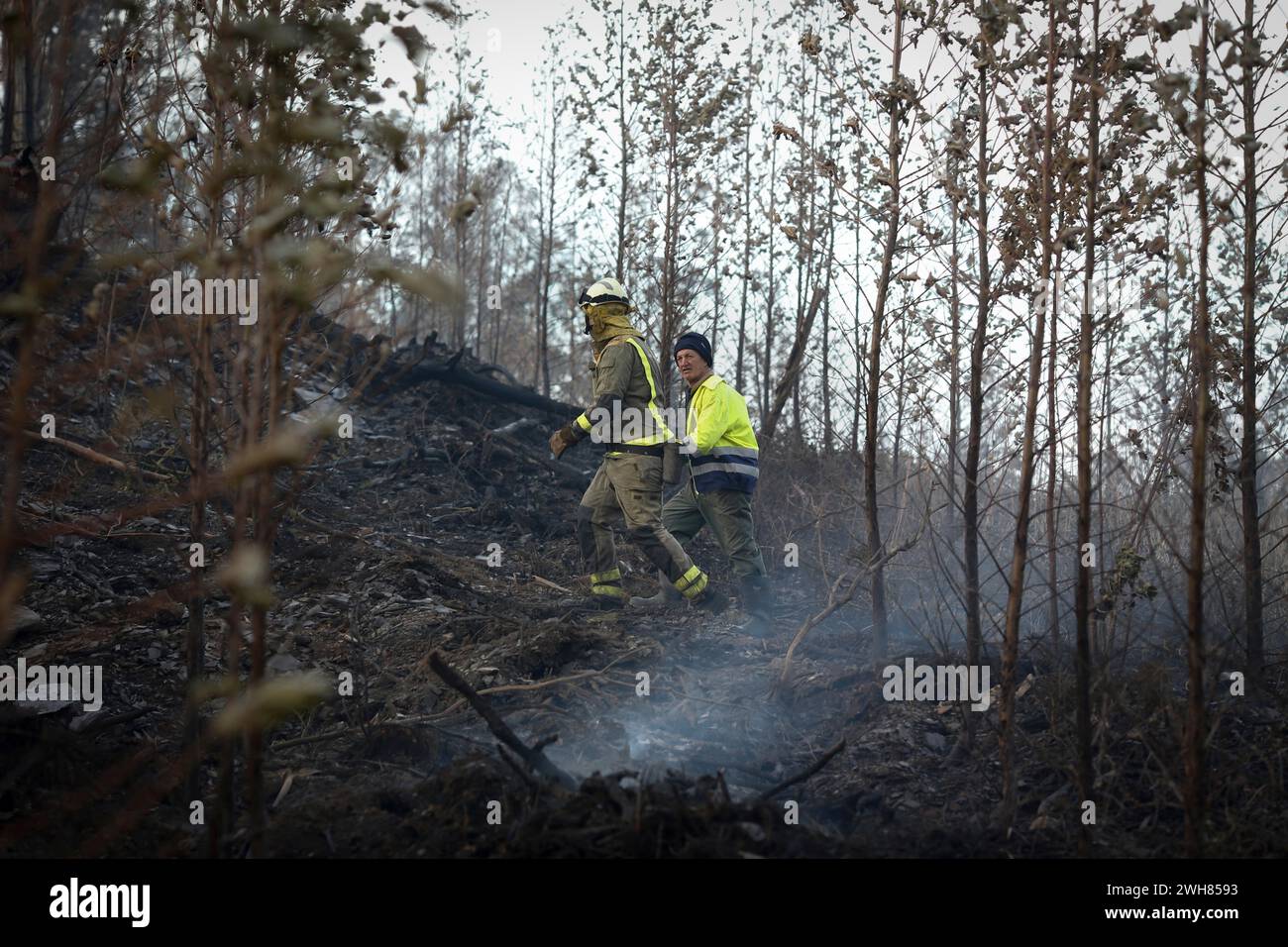 Agents of the firefighting teams work at the site of the fire, February ...