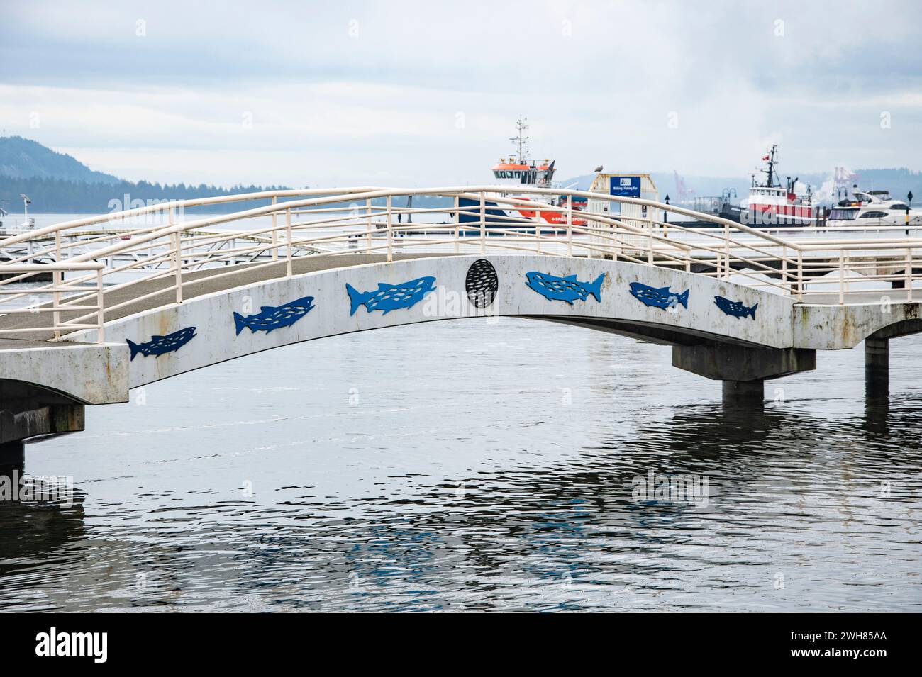 Mural of Salmon on the Bridge at Maffeo Sutton Park in Nanaimo, British ...