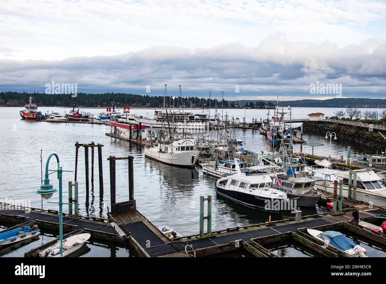 Canada west coast landscapes hi-res stock photography and images - Alamy