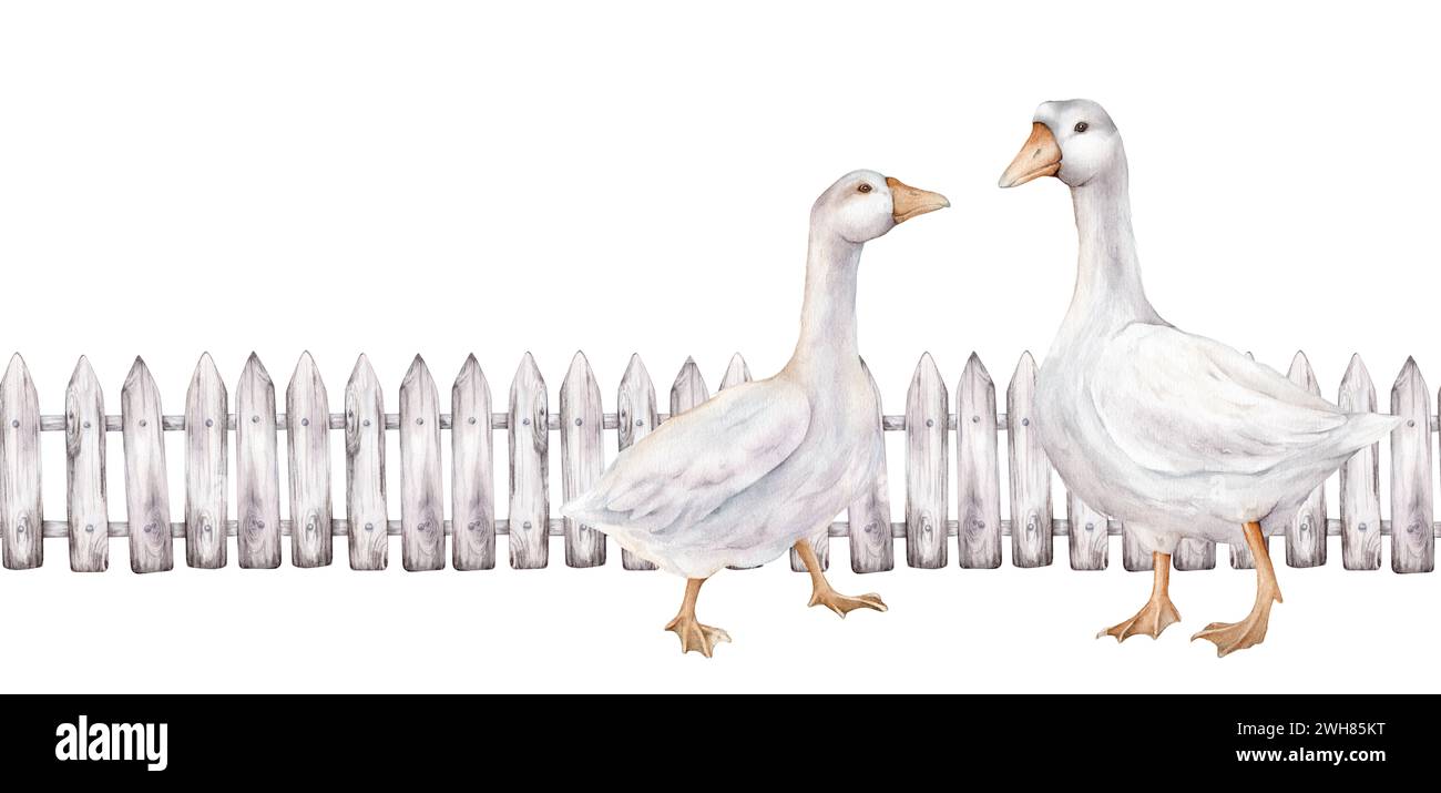 Seamless border fence made of white gray, boards with a wood texture ...