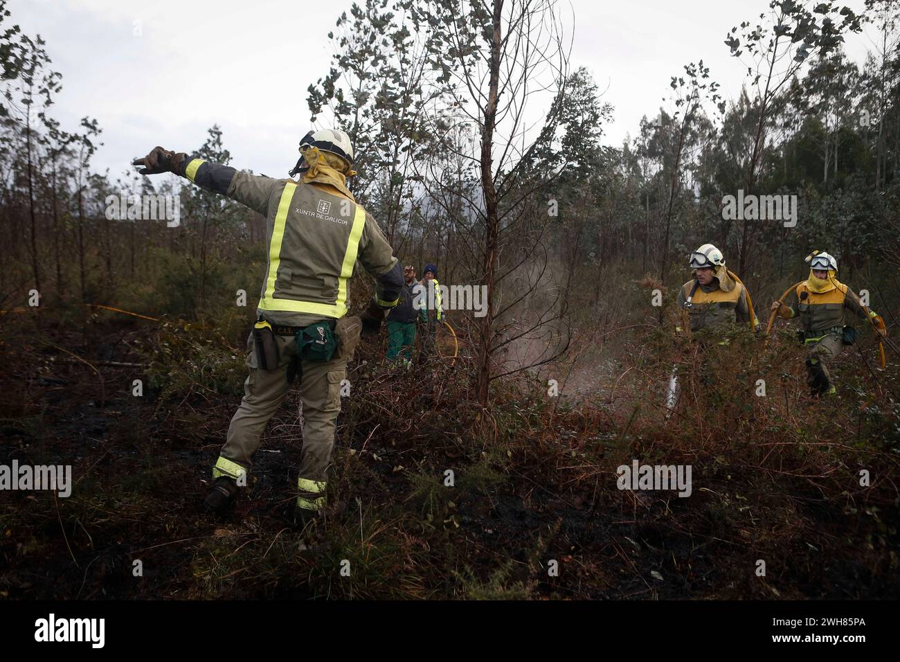 Agents of the firefighting teams work at the site of the fire, February ...