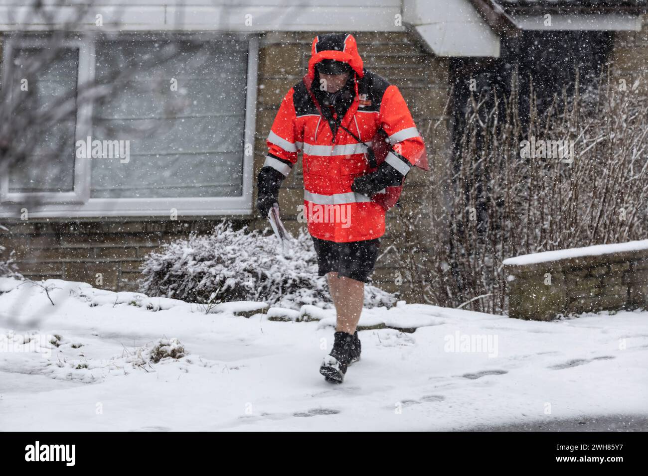British postman wearing Hi Vis jacket and shorts delivering letters to ...