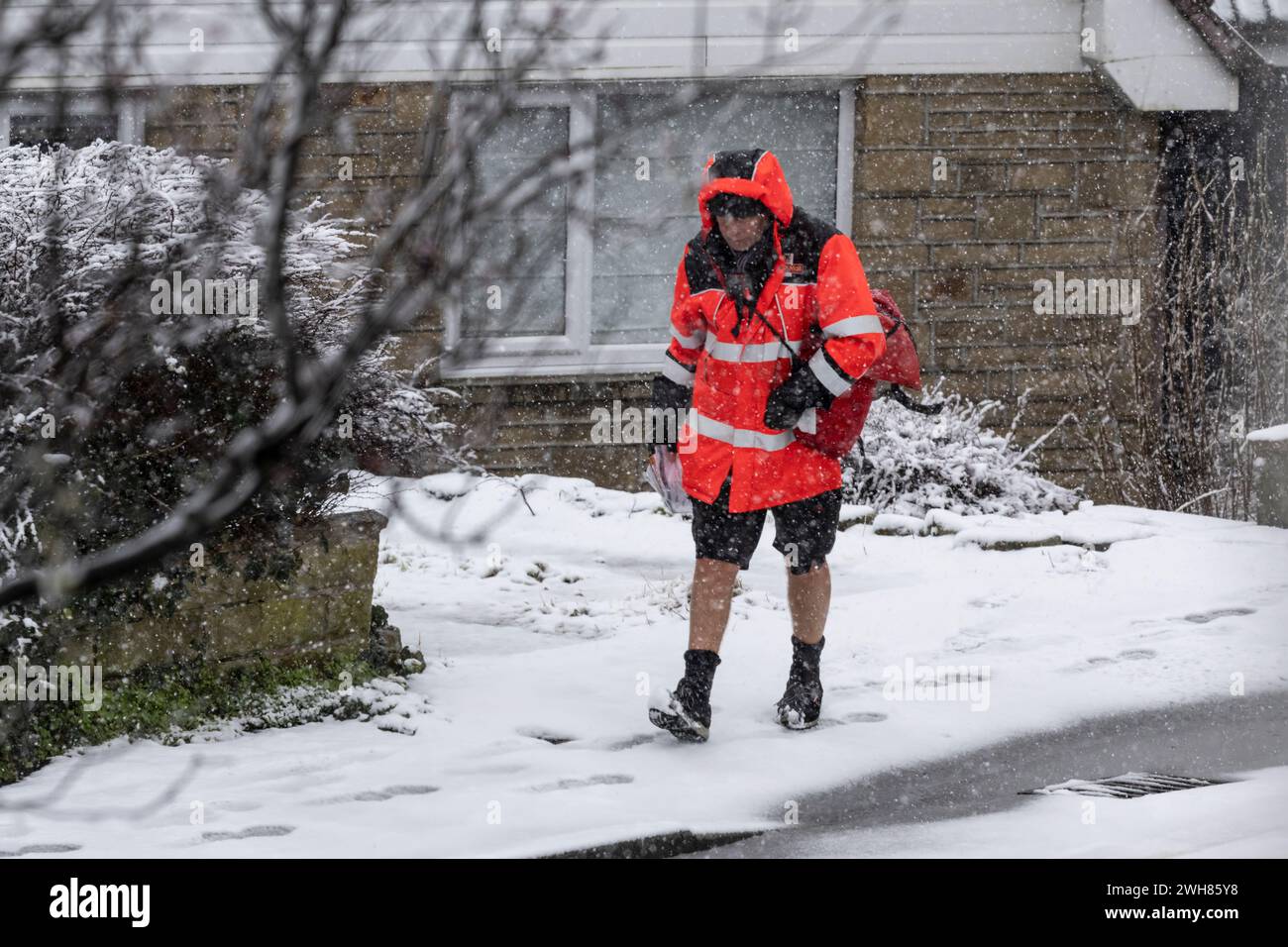 British postman wearing Hi Vis jacket and shorts delivering letters to ...