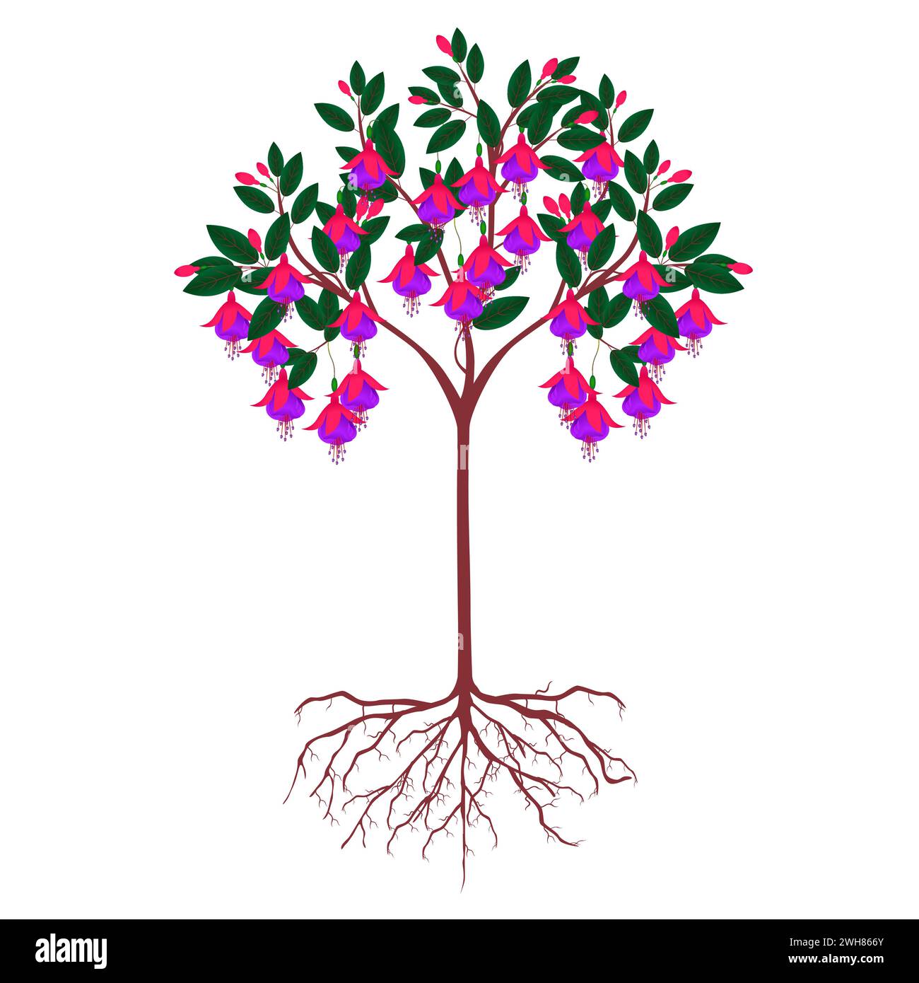 Three petal flower roots Stock Vector Images - Alamy
