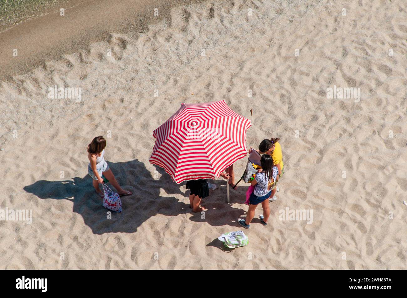 Vier junge Frauen bauen einen Sonnenschirm auf dem Sandstrand von ...