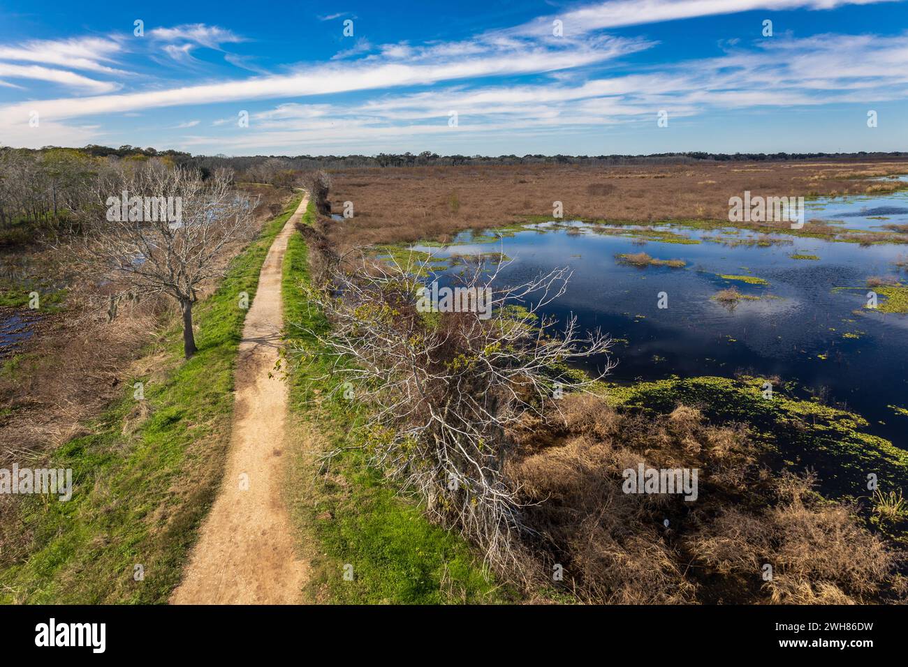 Brazos Bend State Park, Texas, in a beautiful sunny morning Stock Photo ...