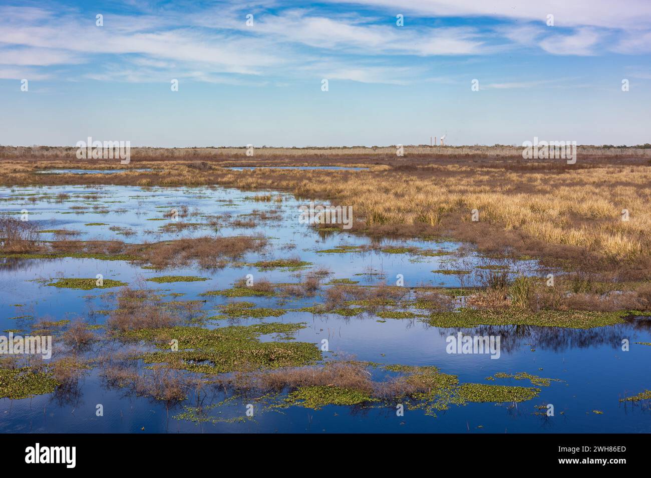 Brazos Bend State Park, Texas, in a beautiful sunny morning Stock Photo ...