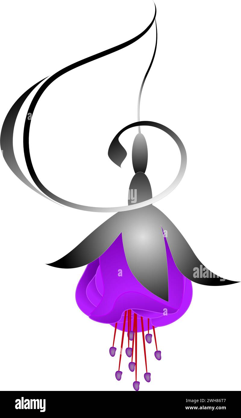 Fuchsia bouquet Stock Vector Images - Alamy