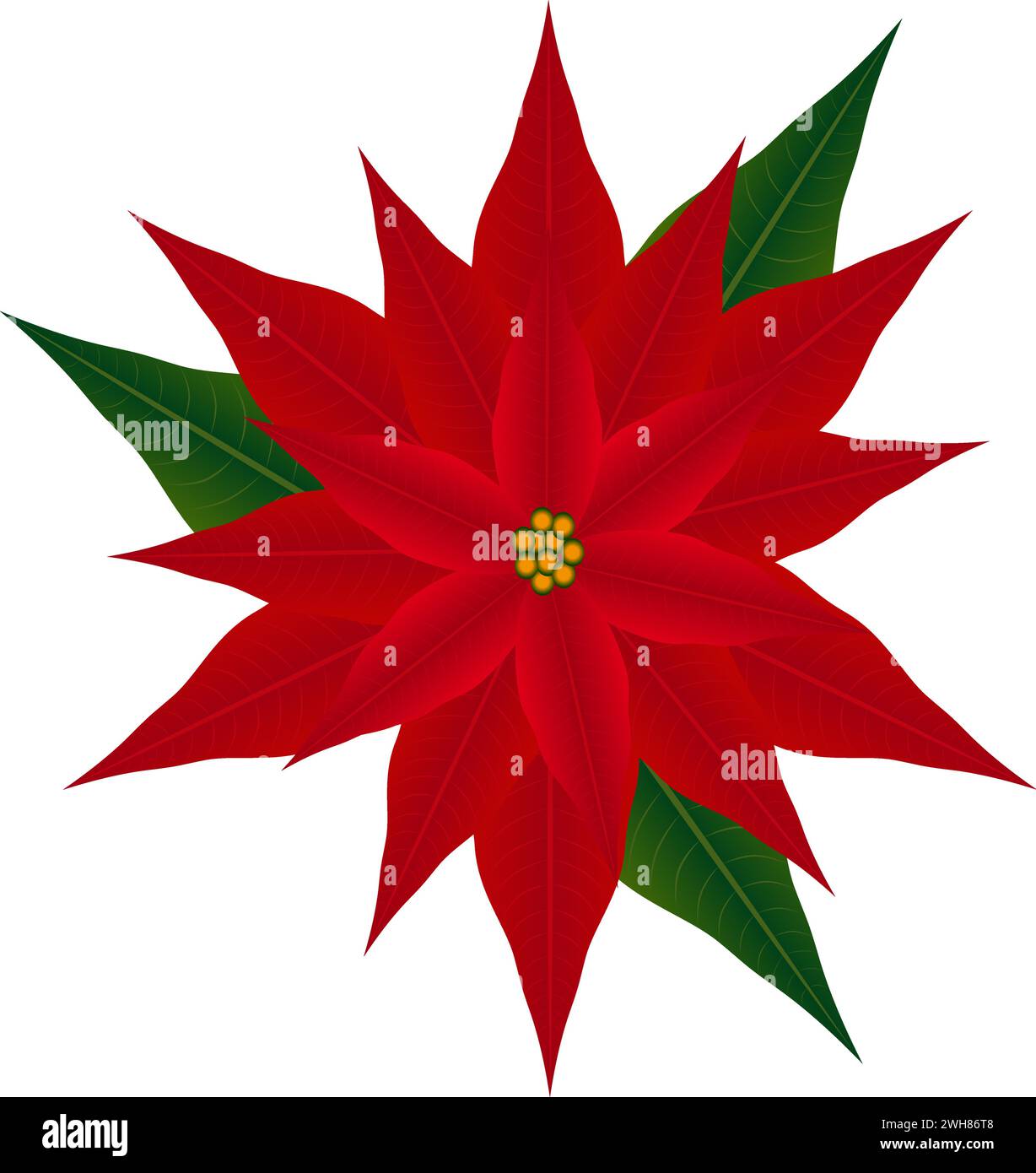 Bright red plant flower Stock Vector Images - Alamy