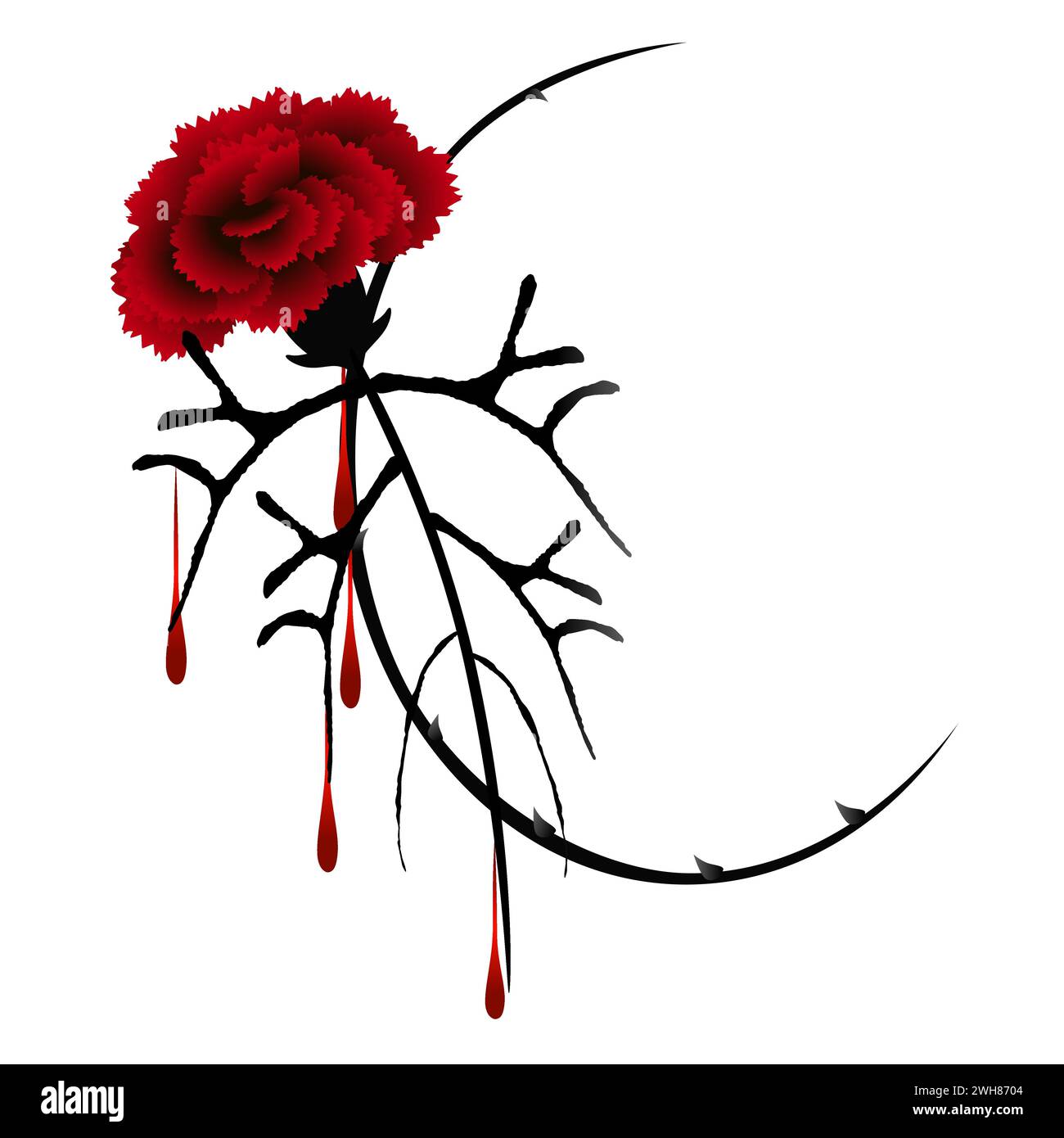 A dark red carnation flower with thorns and blood drops, design element ...