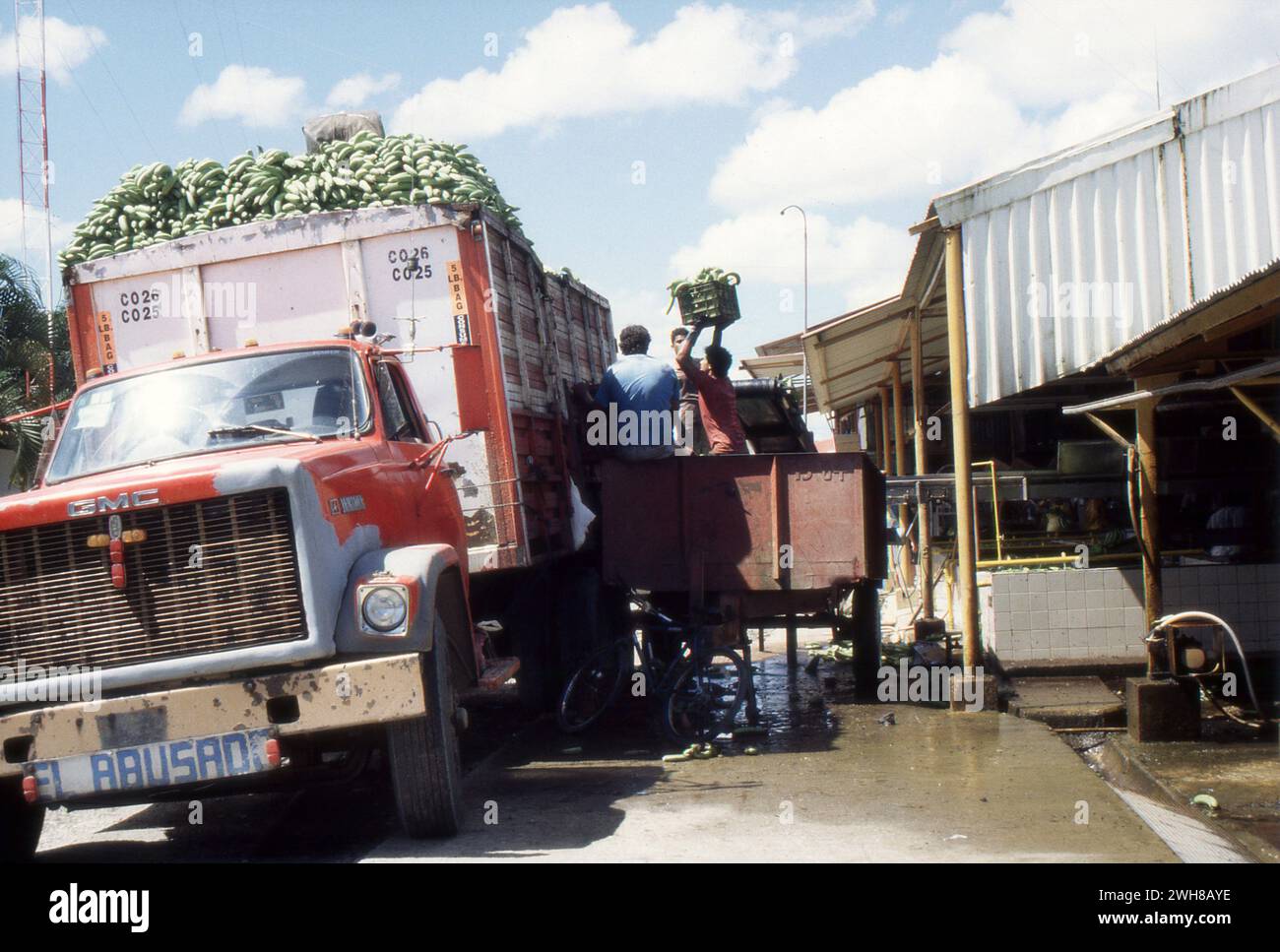 Costa Rica. 1997 – Del Monte banana processing plant in Costa Rica ...