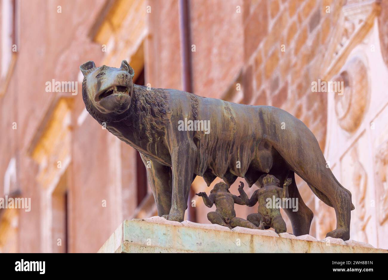 The Capitoline she-wolf with Romulus and Remus drinking her milk. Rome ...