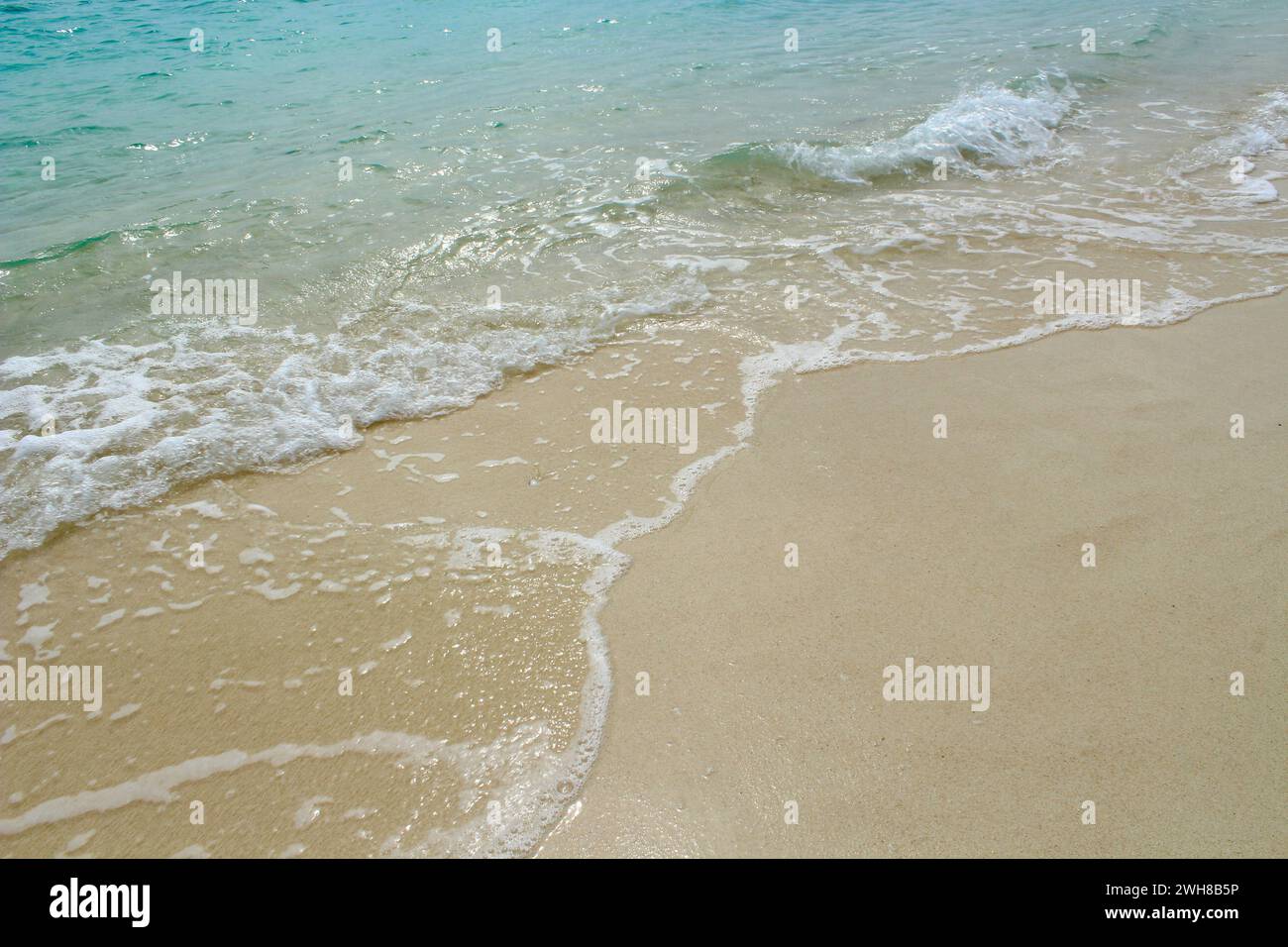 Beautiful white sand beach wet by the clear sea on the Bamboo Island ...