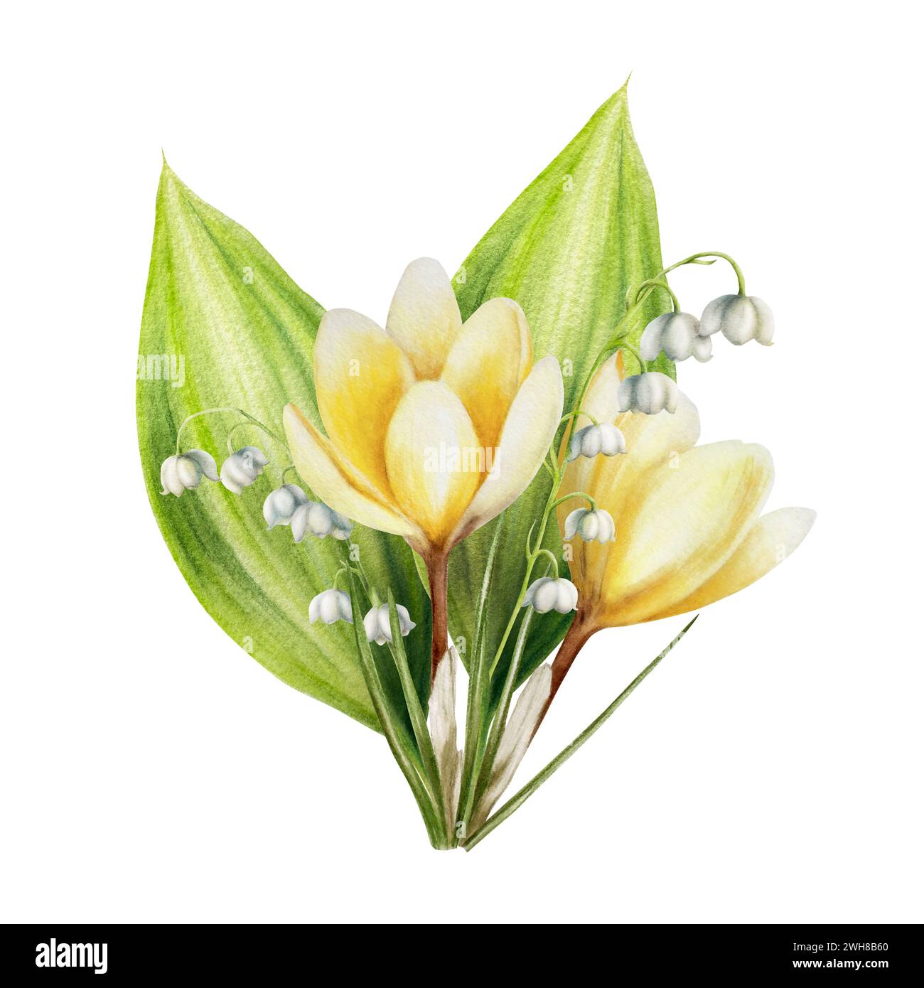 Watercolor bouquet of yellow blooming crocus and lily of the valley ...