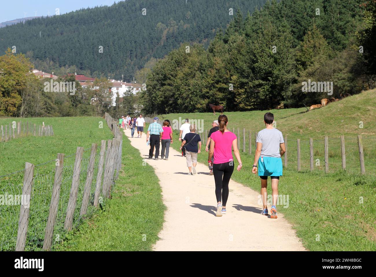 Group of people walking along a pathway adjacent to a lush field Stock ...