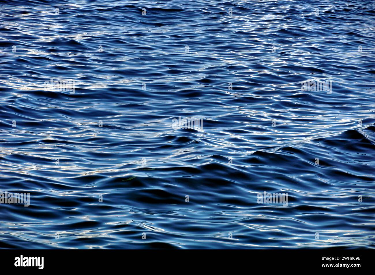 Abstract representation of the blue and rough wavy surface of the deep ...