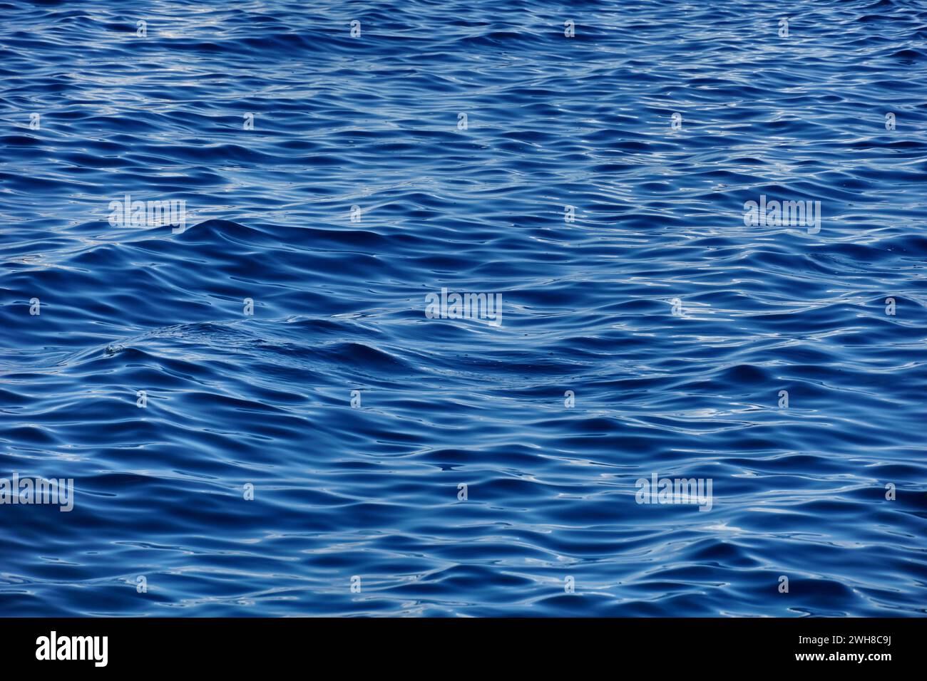 Wavy surface with rippled waves and light reflection on the top Stock ...