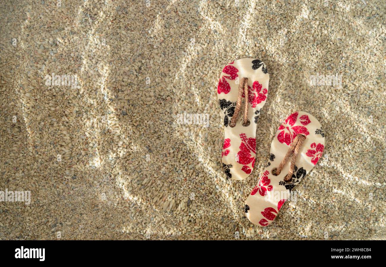 Summer scene with floral slippers on sand in water. Sun and shadows ...