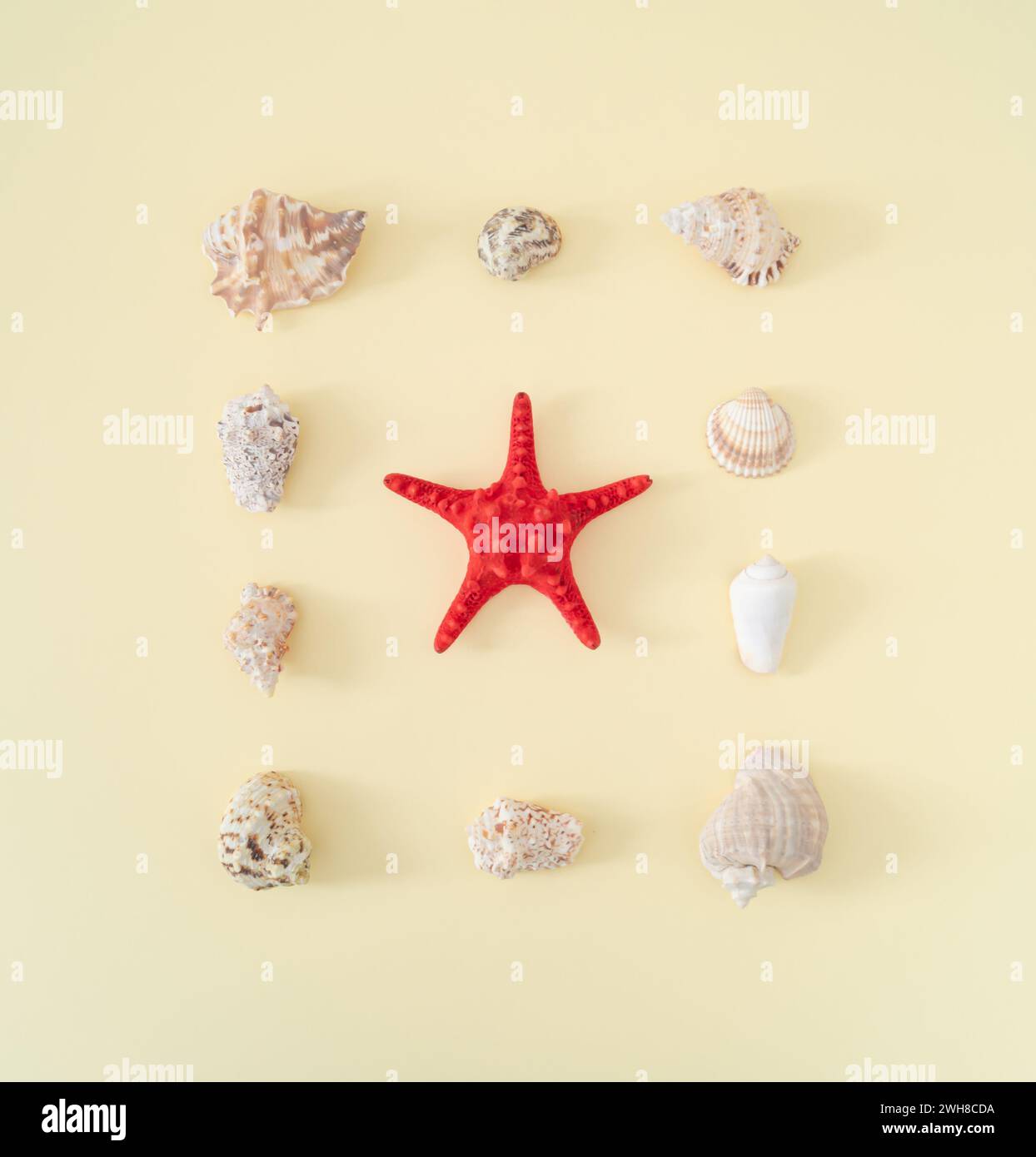 Creative summer sea shells arrangement on light cream background with ...