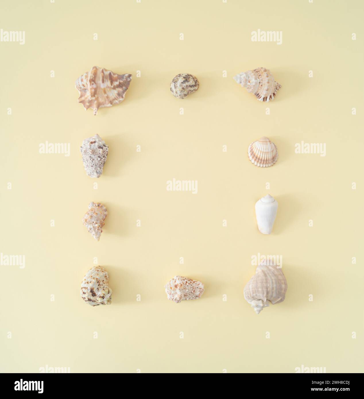 Creative summer layout made of various sea shells on light cream ...