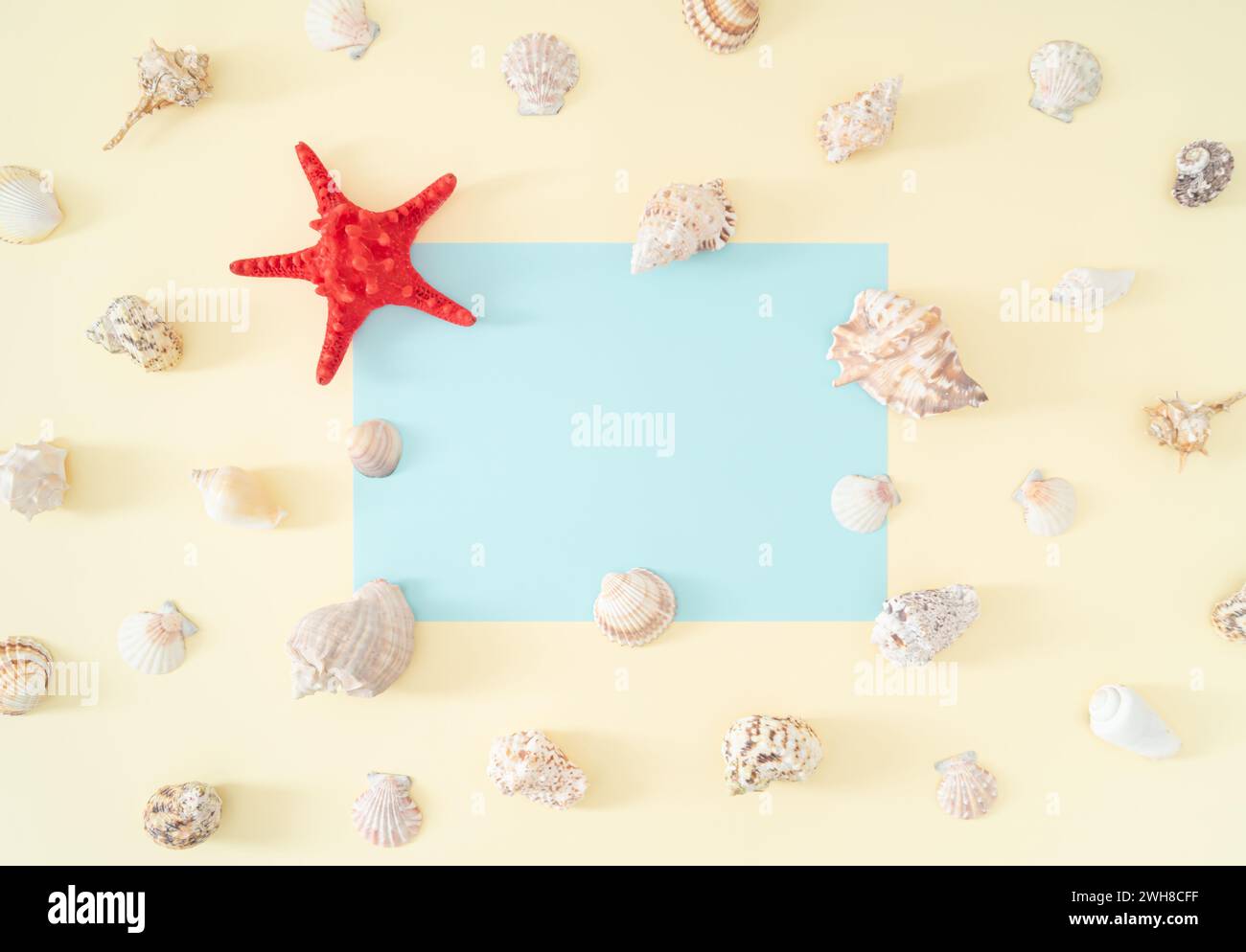 Trendy summer pattern made of sea shells and red starfish with light ...