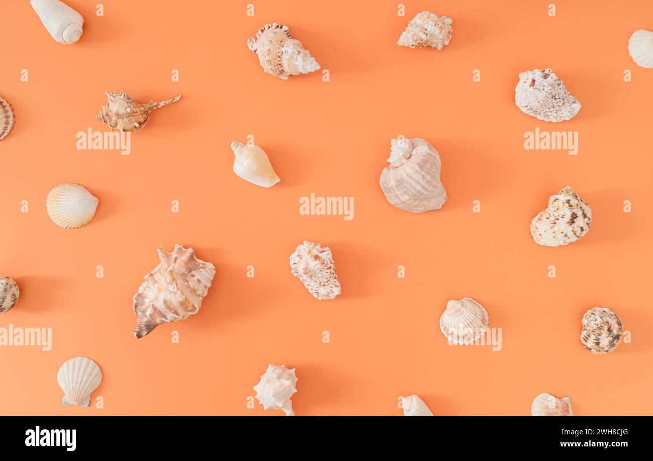 Trendy summer pattern made of sea shells on pastel peachy orange ...