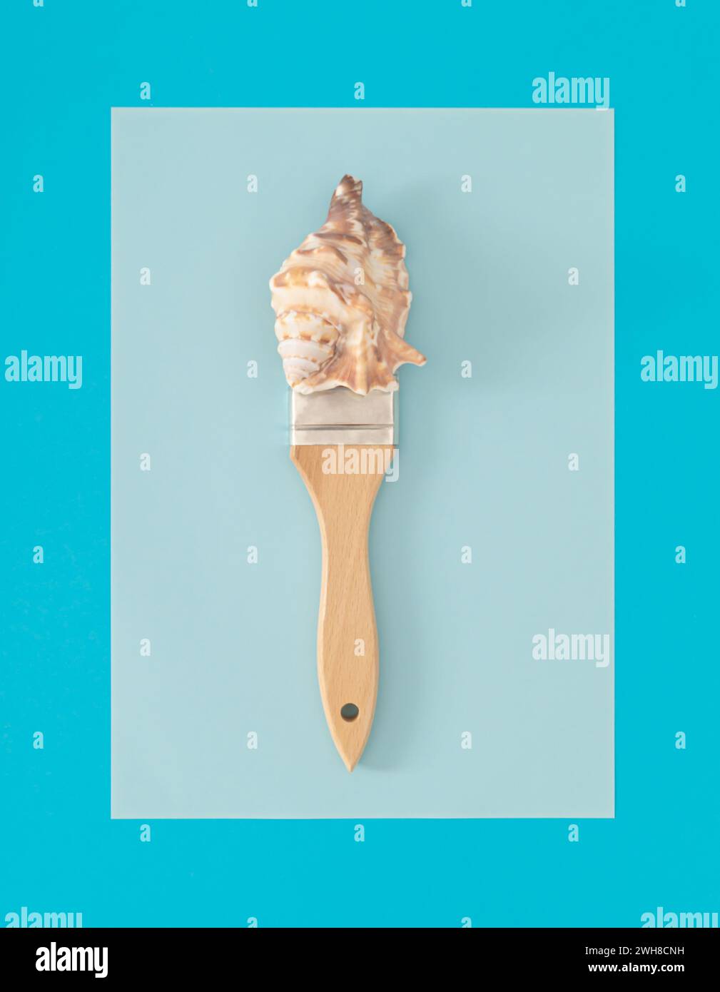 Creative trendy summer layout made with sea shell and paint brush on ...