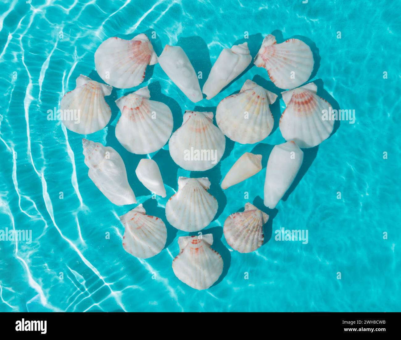 Creative scene of love heart symbol made with sea shells in water on ...