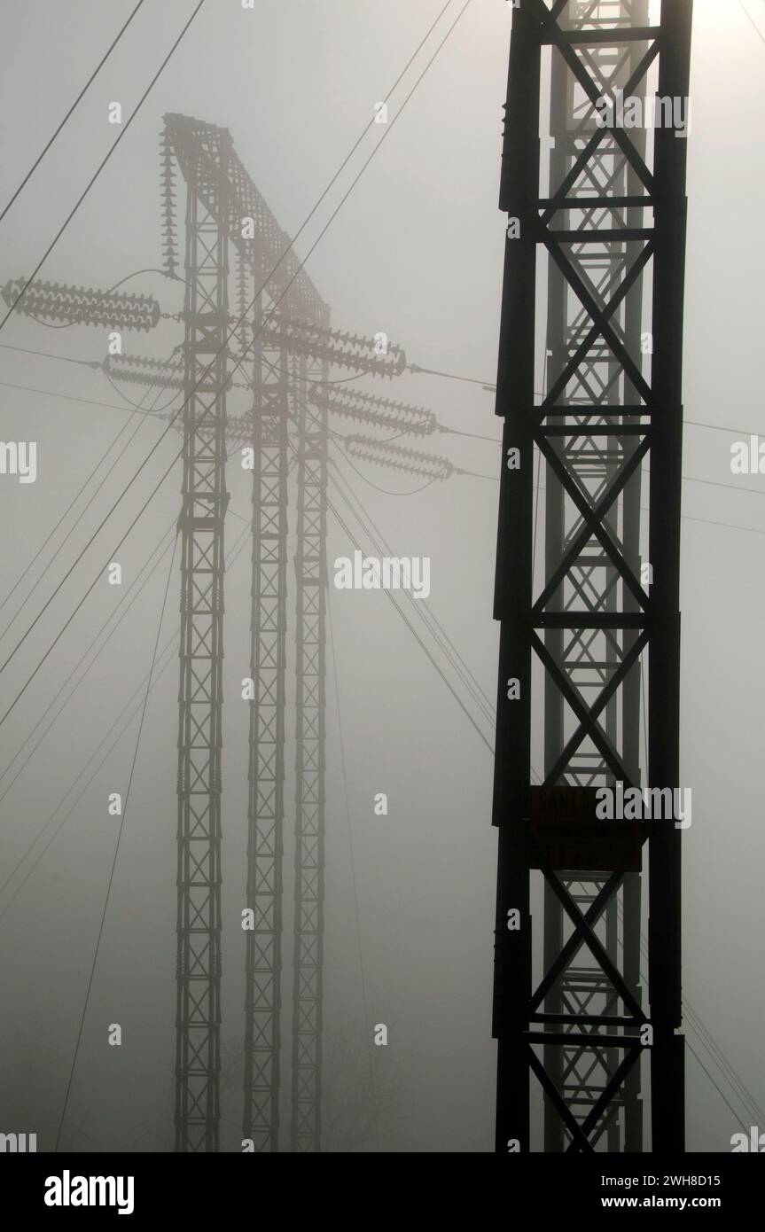 Utility lines in fog, Howard Buford County Park, Lane County, Oregon ...