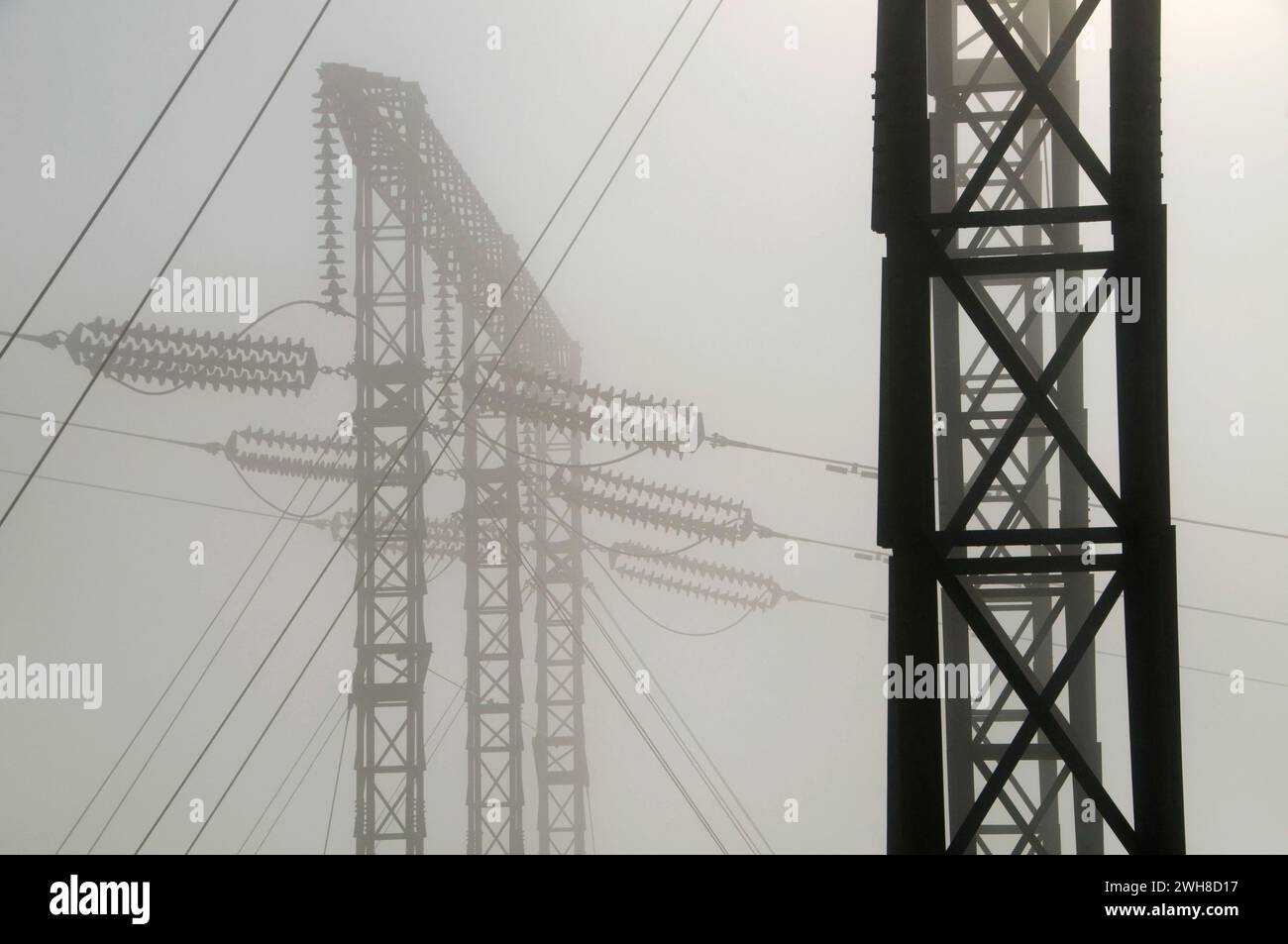 Utility lines in fog, Howard Buford County Park, Lane County, Oregon ...