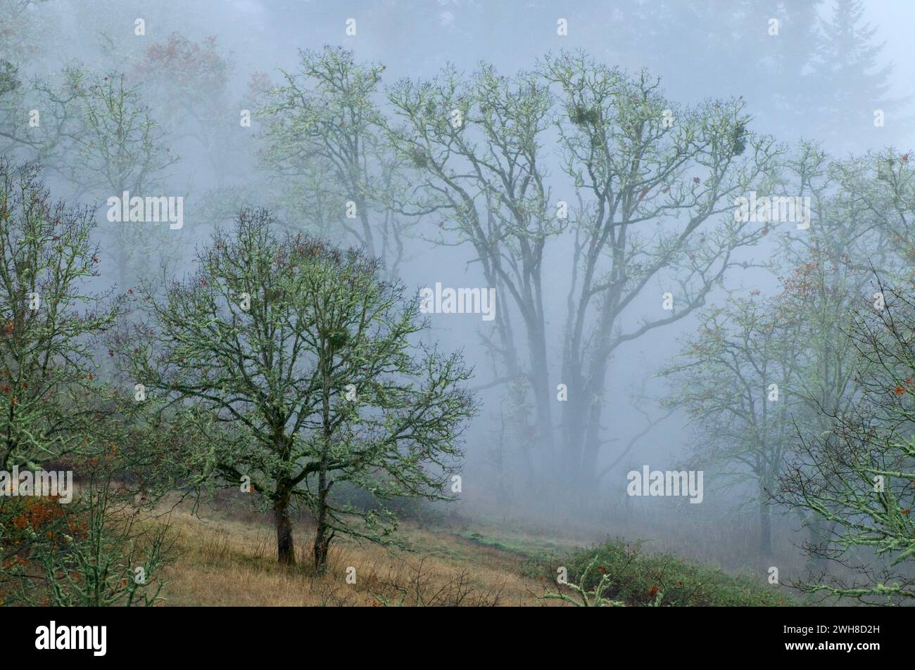 Howard county hi-res stock photography and images - Alamy