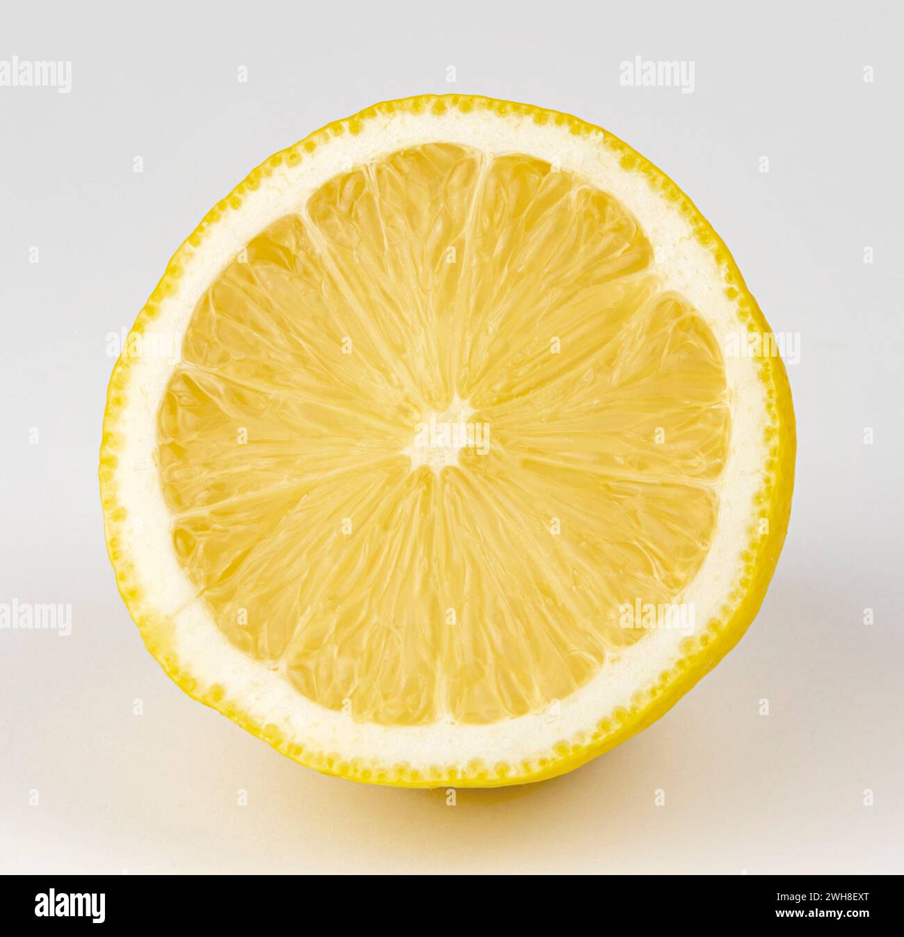 Lemon, a halved lemon with yellow flesh. The concept of citrus fruit ...