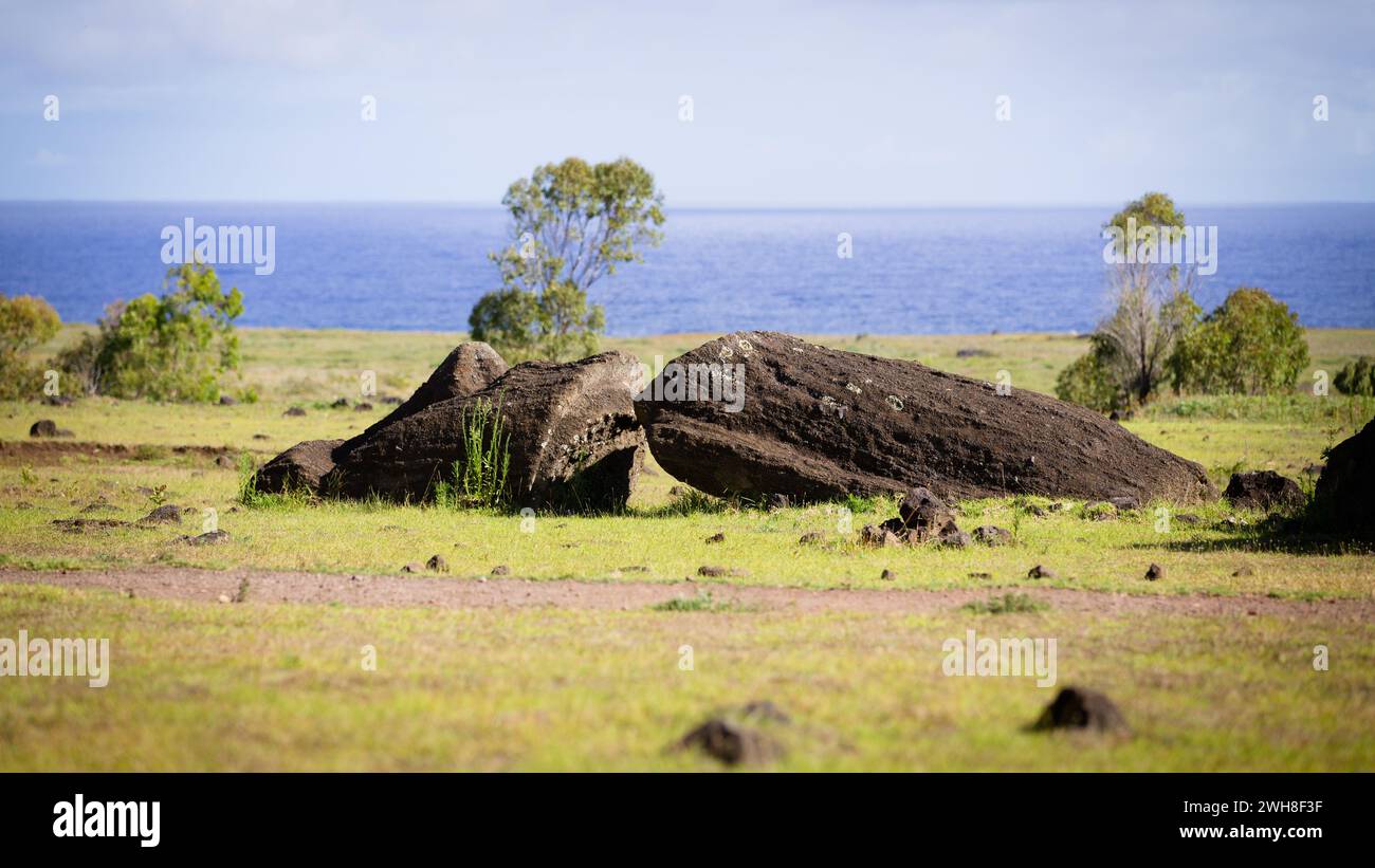 A fallen moai at Rano Raraku on the coast of Rapa Nui, Easter Island ...