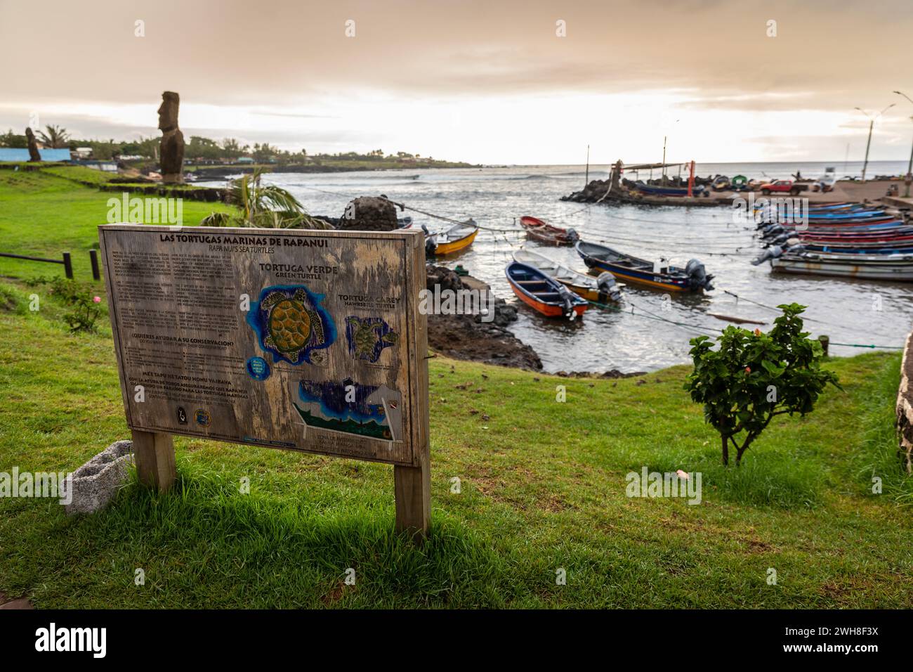 Colorful, wooden fishing boats are lashed to ropes in the harbor of ...