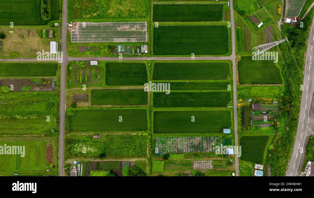 Aerial view above rice fields and plantations, in Nagano, Japan - Top ...