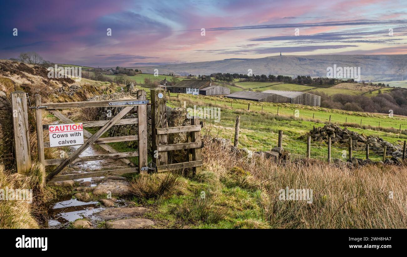 Blackstone bus hi-res stock photography and images - Alamy