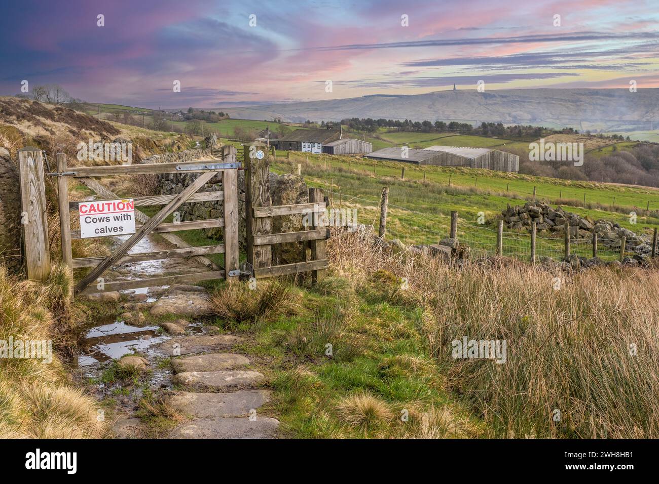 Blackstone bus hi-res stock photography and images - Alamy