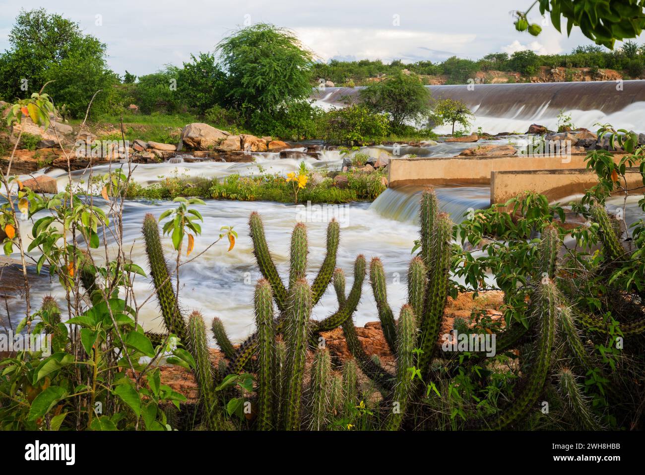 Mendubim reservoir, in Assu, state of Rio Grande do Norte, amidst ...