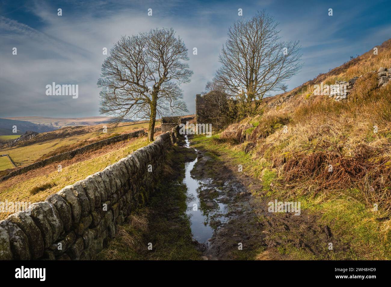 Blackstone bus hi-res stock photography and images - Alamy