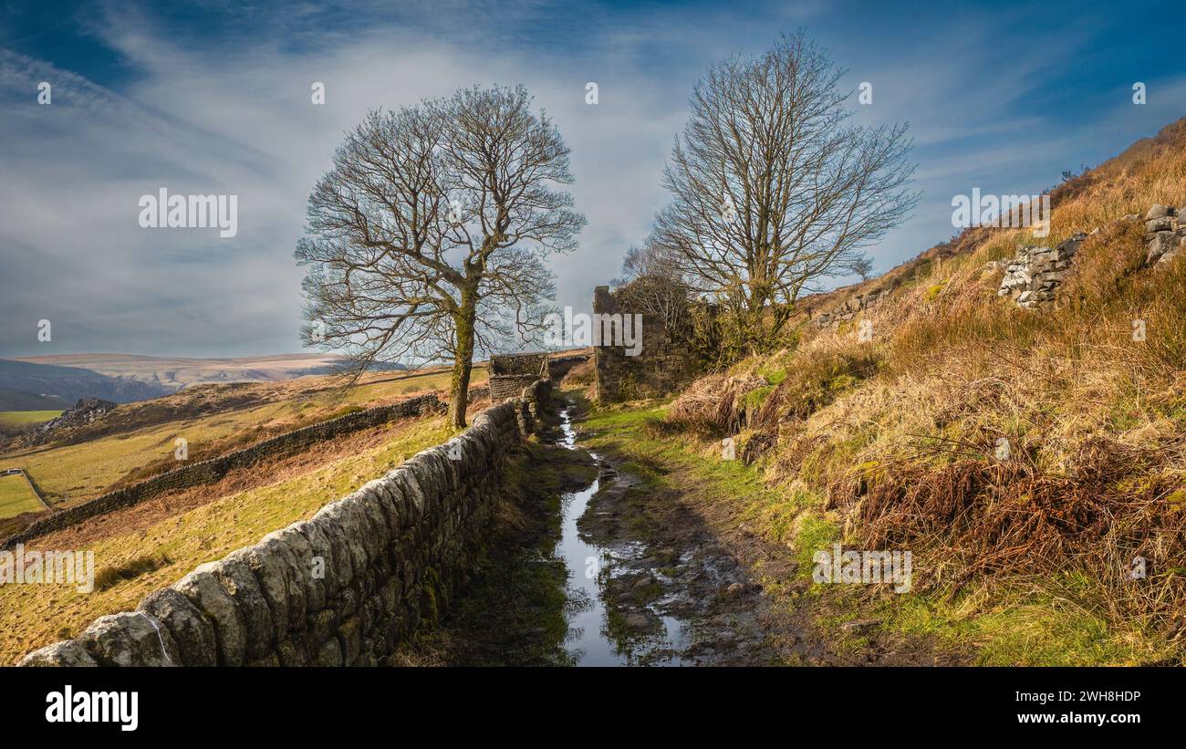 Blackstone bus hi-res stock photography and images - Alamy