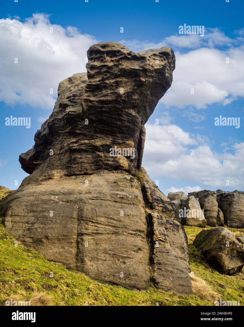 Blackstone bus hi-res stock photography and images - Alamy