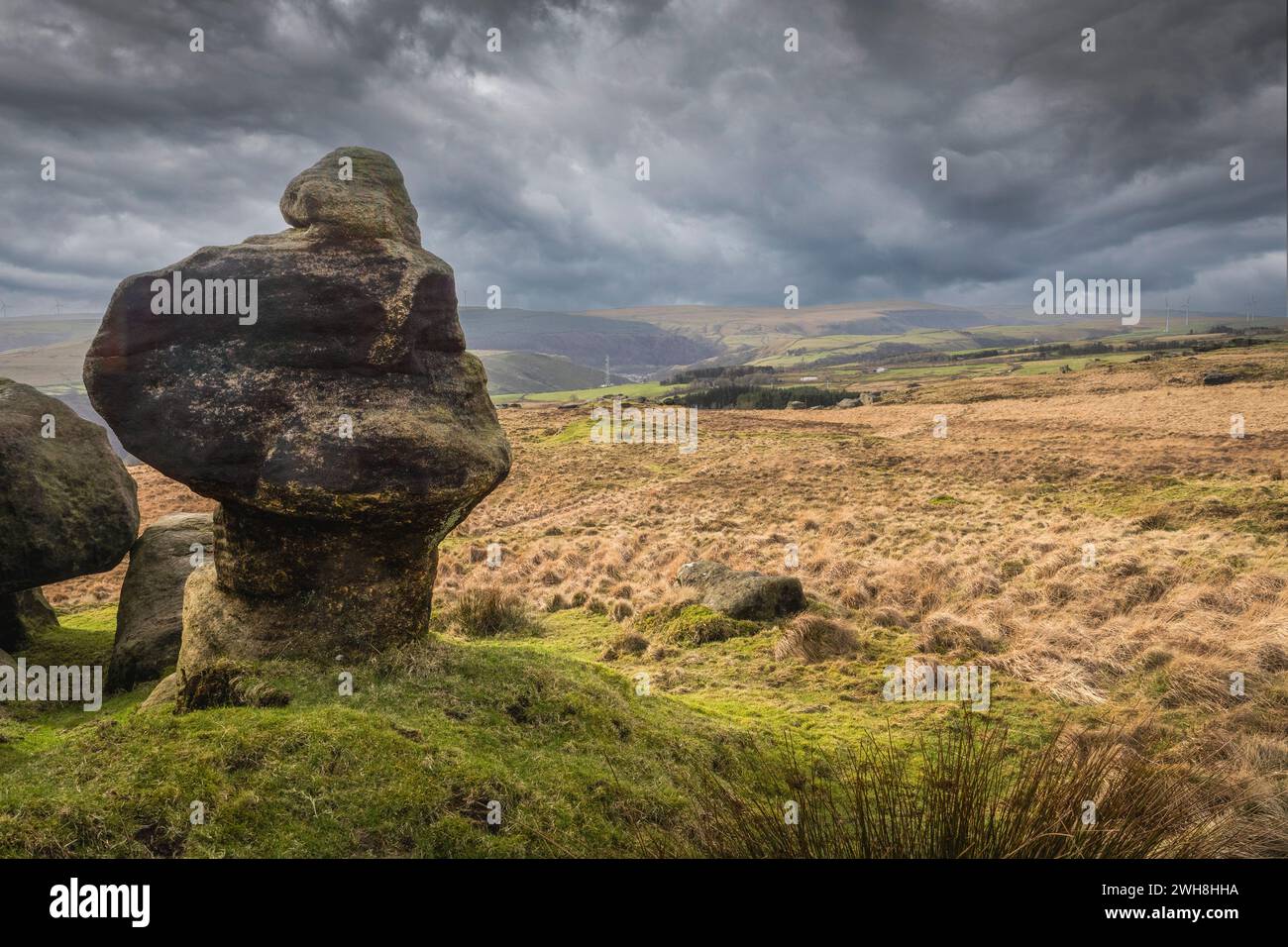 Blackstone bus hi-res stock photography and images - Alamy