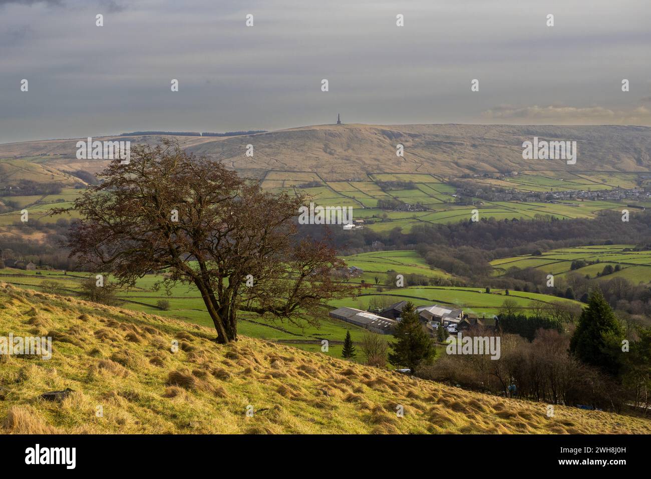 Blackstone bus hi-res stock photography and images - Alamy